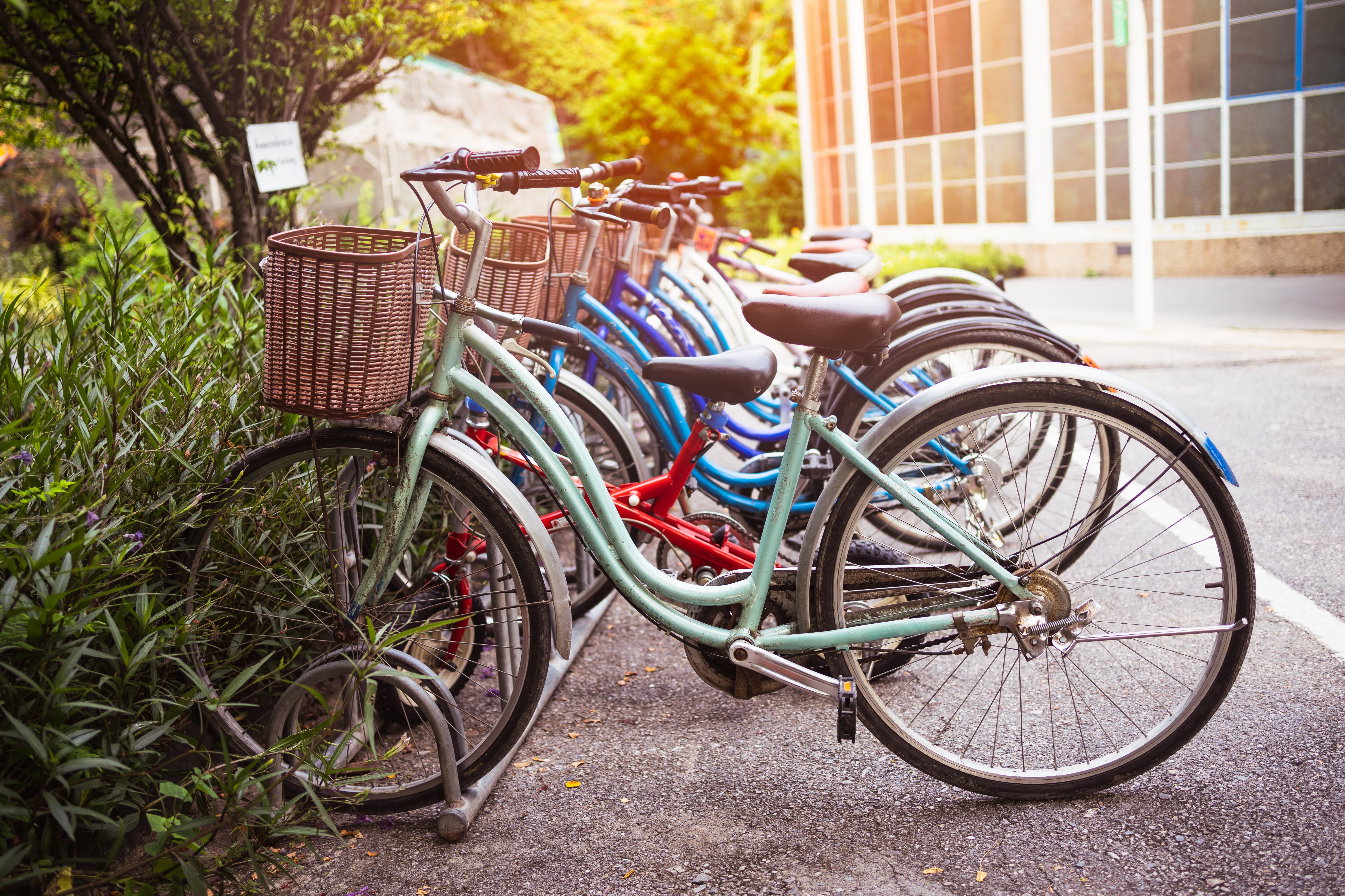D'aniello's Amity Bike