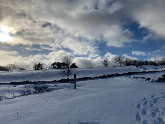 Rose Trail at Bolton Heritage Farm - Connecticut Trail Finder