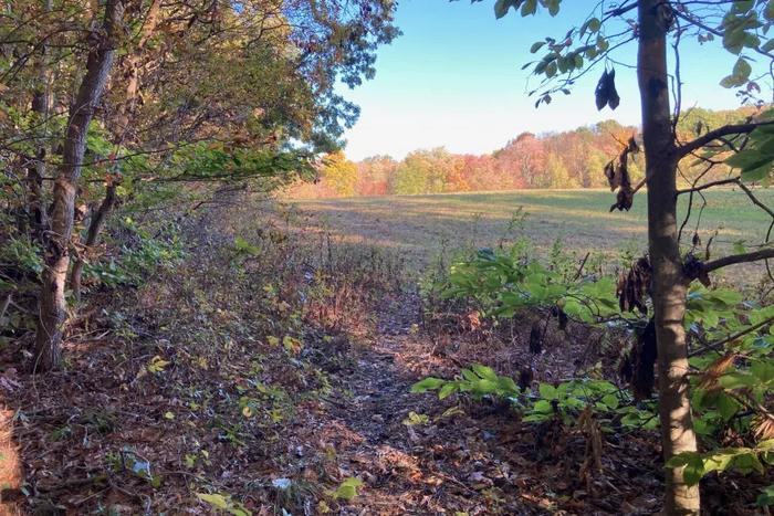 Herrick Memorial Park - Connecticut Trail Finder