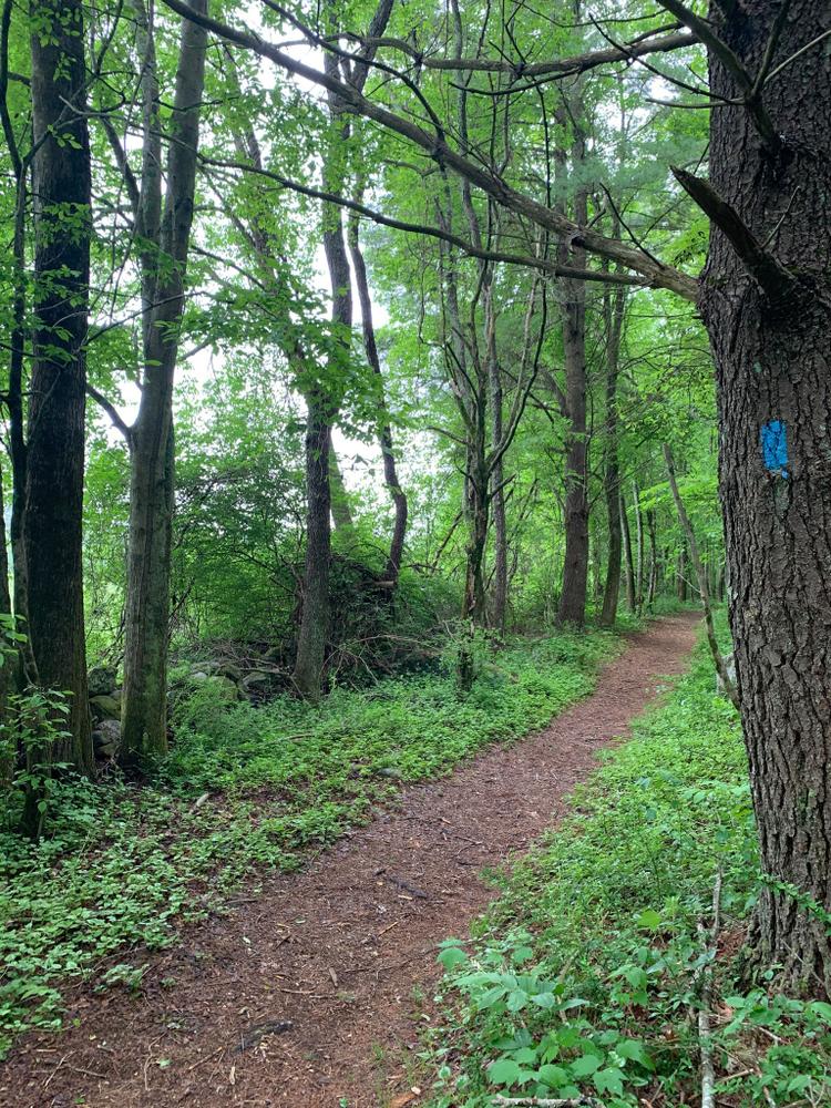 Hubbard Sanctuary & Agnes' Pasture - Connecticut Trail Finder