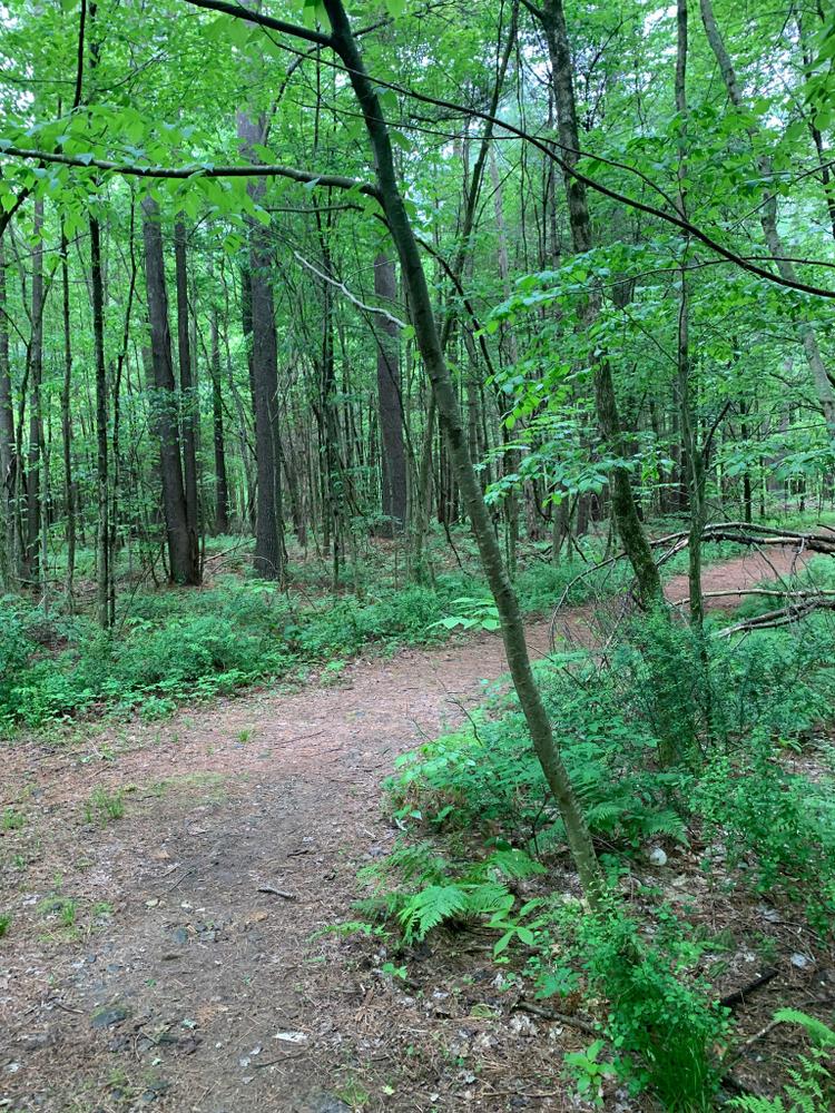 Hubbard Sanctuary & Agnes' Pasture - Connecticut Trail Finder