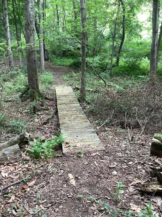 Partrick Wetlands - Connecticut Trail Finder