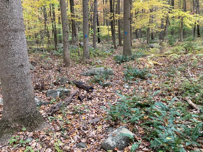 Racebrook Estates (Woodbridge Greenway) - Connecticut Trail Finder