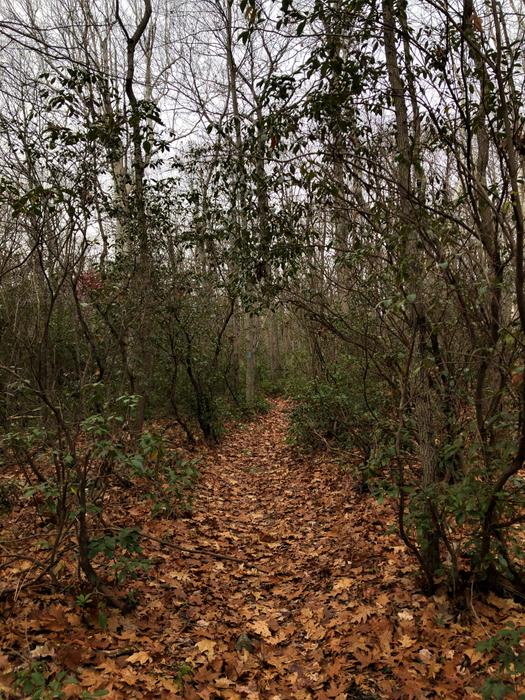 Mattatuck Trail - Connecticut Trail Finder