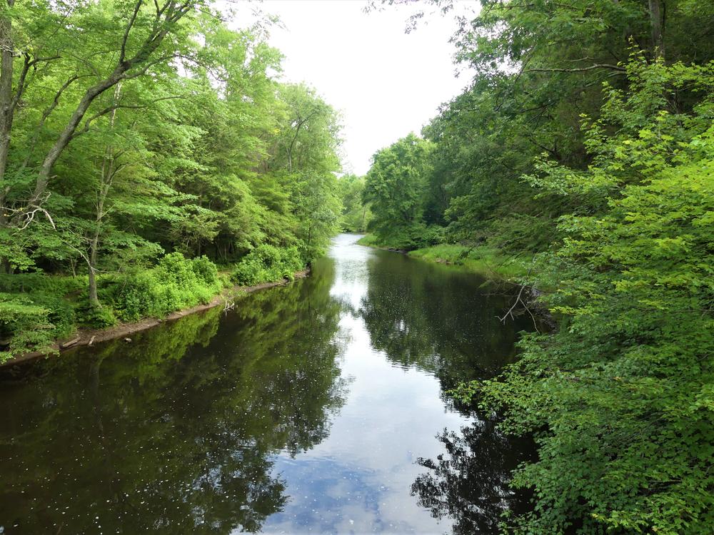 Merrow Meadow Park - Connecticut Trail Finder