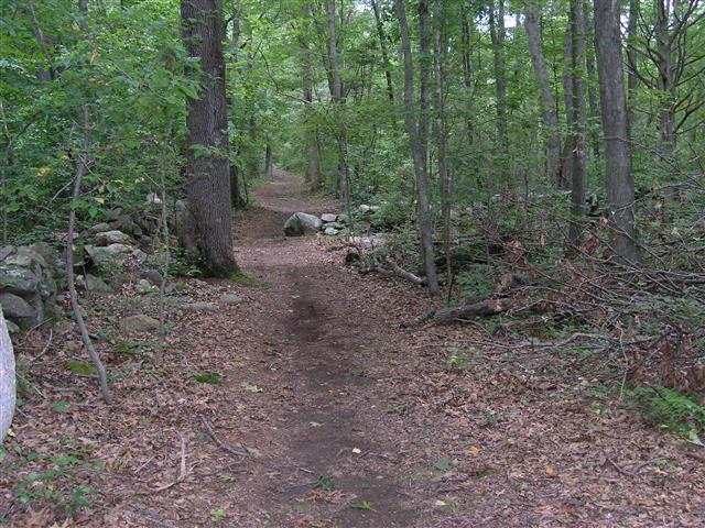 Pequot Woods - Connecticut Trail Finder