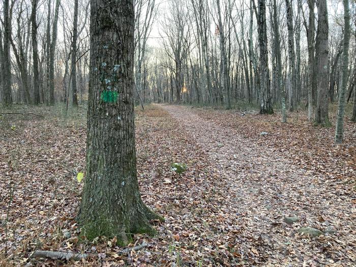 Racebrook Tract - Connecticut Trail Finder