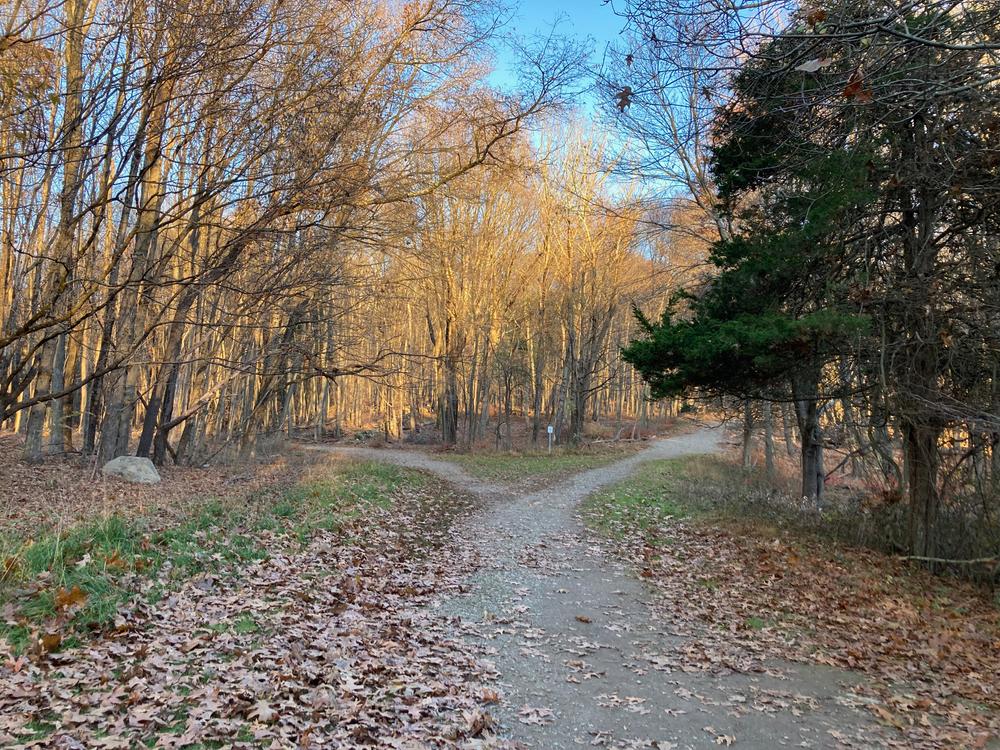 Racebrook Tract - Connecticut Trail Finder