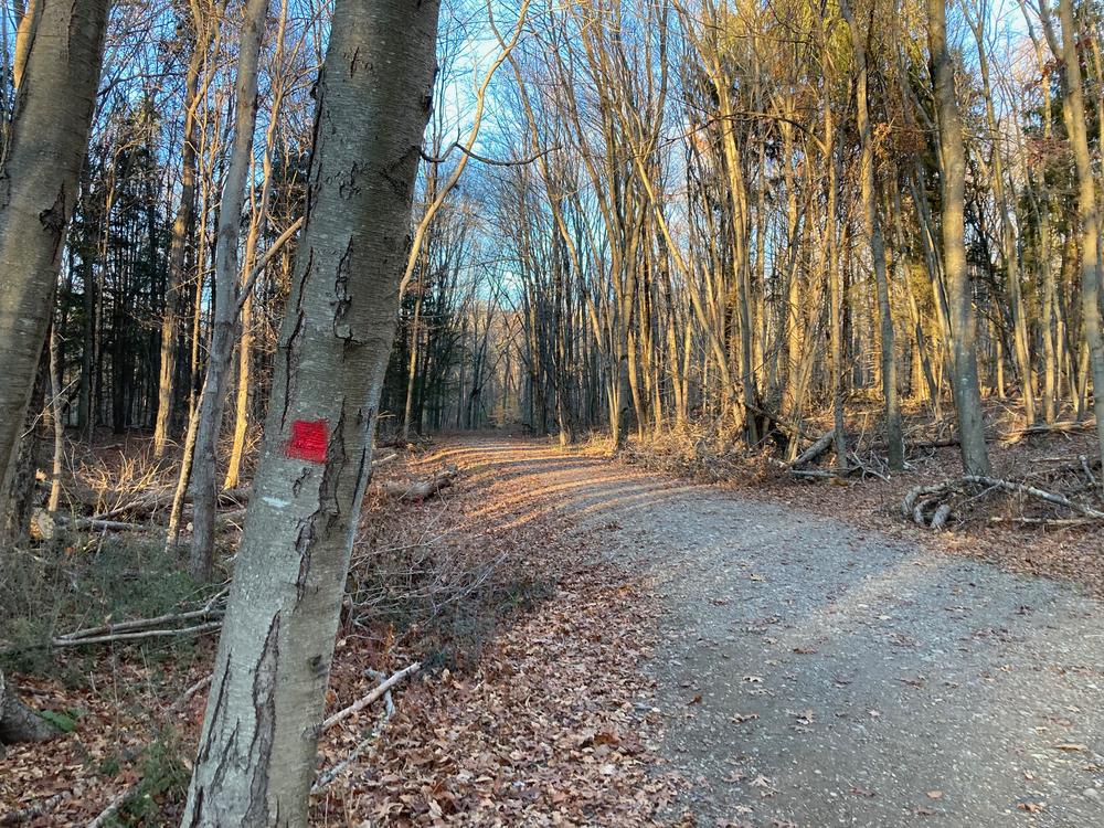 Racebrook Tract - Connecticut Trail Finder