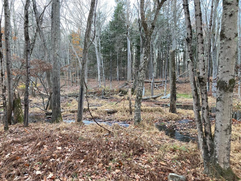 Racebrook Tract - Connecticut Trail Finder