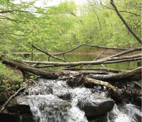 Turtle Creek Preserve - Connecticut Trail Finder