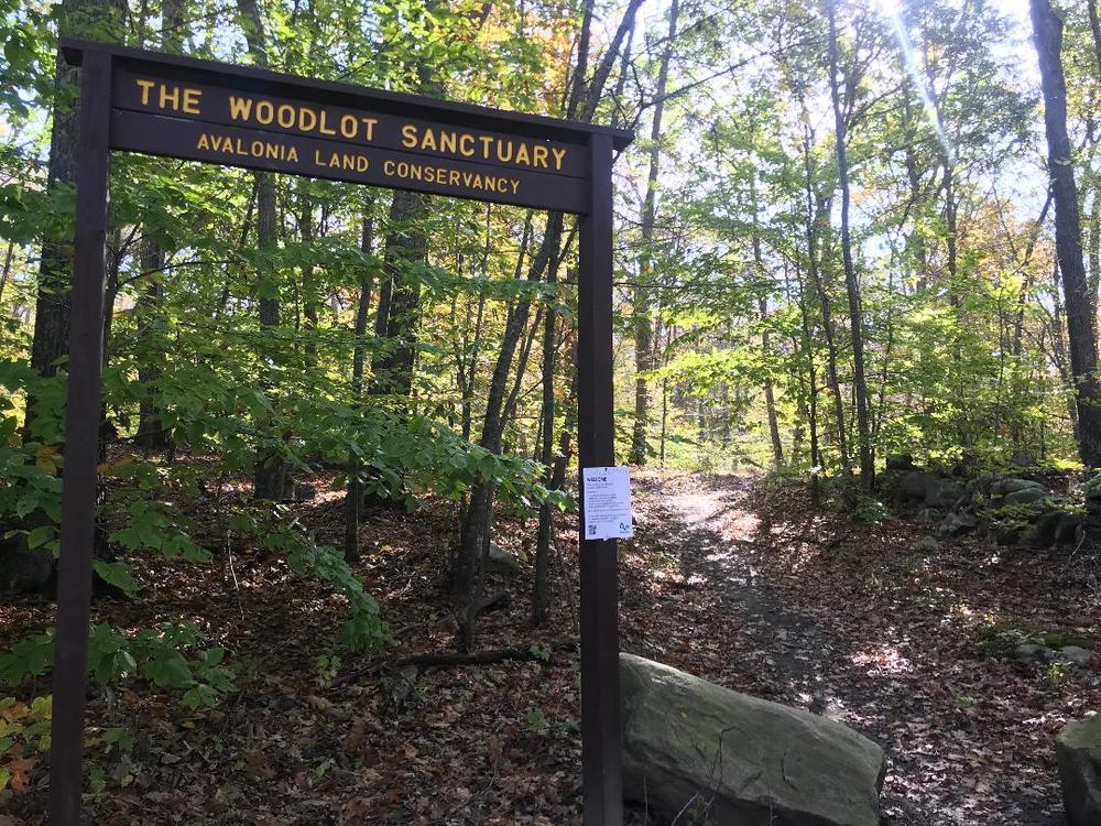 Woodlot Sanctuary - Connecticut Trail Finder