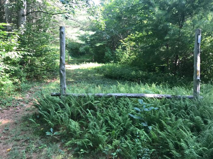 Cockaponset State Forest (Weber Woods) - Connecticut Trail Finder