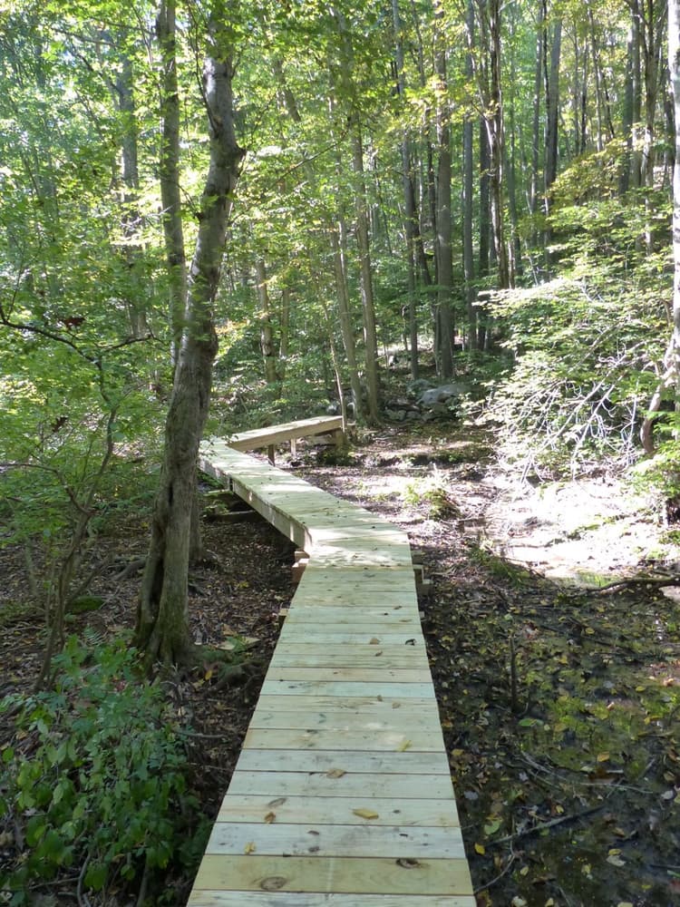 Windswept Ridge - Connecticut Trail Finder