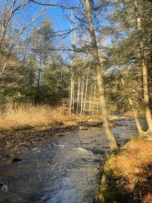 Upper Bantam River Preserve - Connecticut Trail Finder