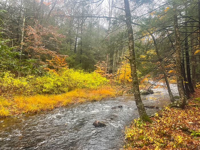 Upper Bantam River Preserve - Connecticut Trail Finder