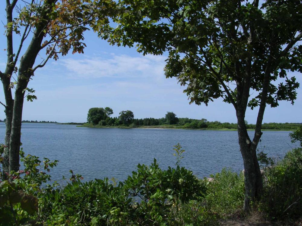 Bluff Point State Park - Connecticut Trail Finder