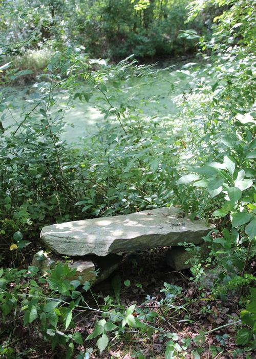 Preston Nature Preserve - Connecticut Trail Finder