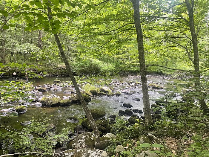 Shepaug Crossing Preserve - Connecticut Trail Finder