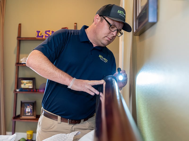 Local Bed Bug Control In Shreveport & Bossier City, LA