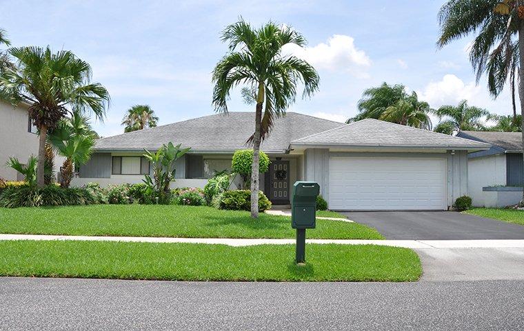 Milton, FL Pest Control | EnSec Pest & Lawn