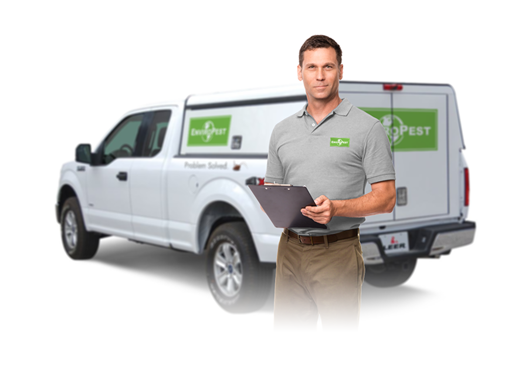 Colorado Pest Control Pros | Serving Denver, Colorado Springs & NoCo