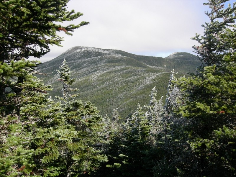 Carlo Col and Goose Eye Trails - Maine Trail Finder