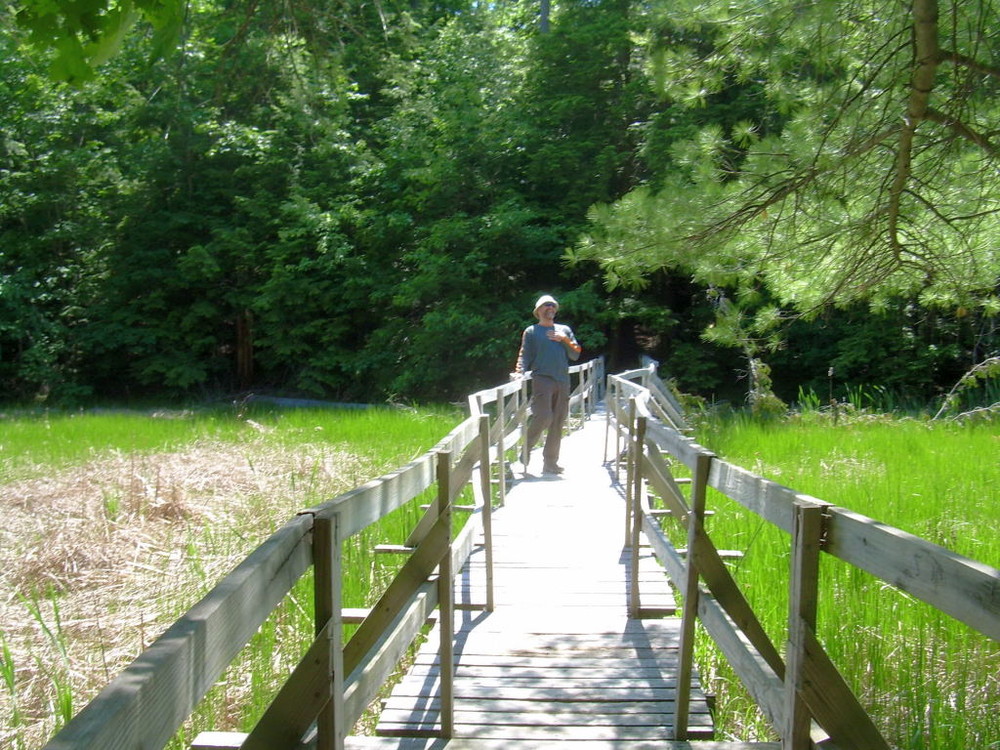 Fore River Sanctuary - Maine Trail Finder