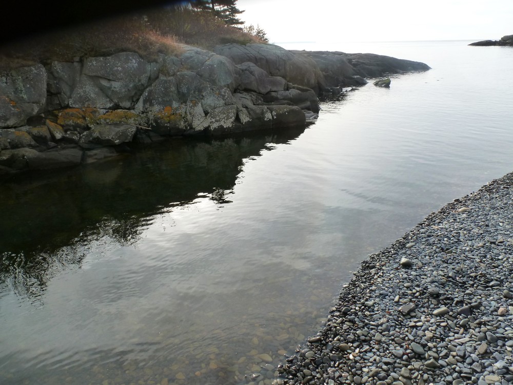 Hamilton Cove - Maine Trail Finder