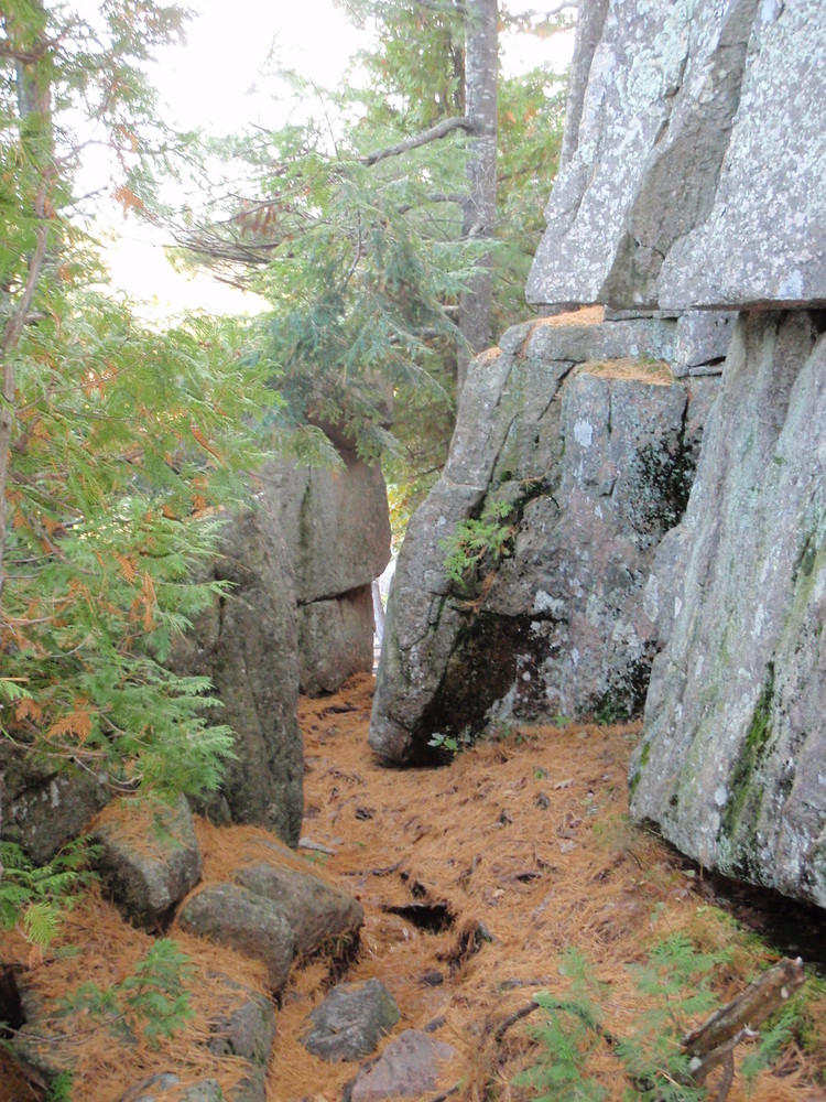 Acadia National Park - Ladder Trail Loop - Maine Trail Finder