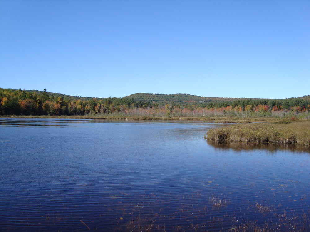 Holt Pond Preserve - Maine Trail Finder