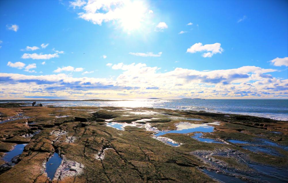 Acadia National Park - Wonderland Trail - Maine Trail Finder