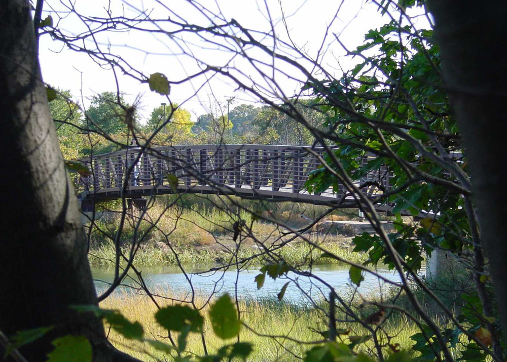 Fore River Sanctuary - Maine Trail Finder
