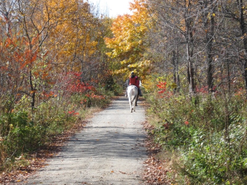 Whistle Stop Trail - Maine Trail Finder