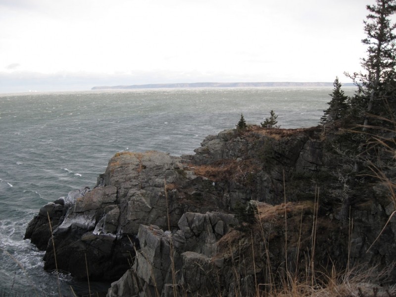 Quoddy Head State Park - Maine Trail Finder
