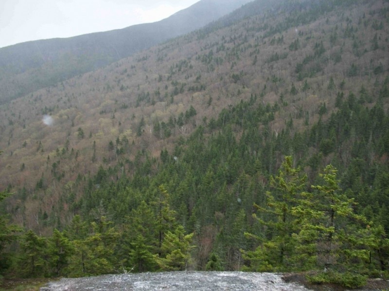 Grafton Notch State Park - Old Speck Mountain and Eyebrow Loop - Maine Trail Finder