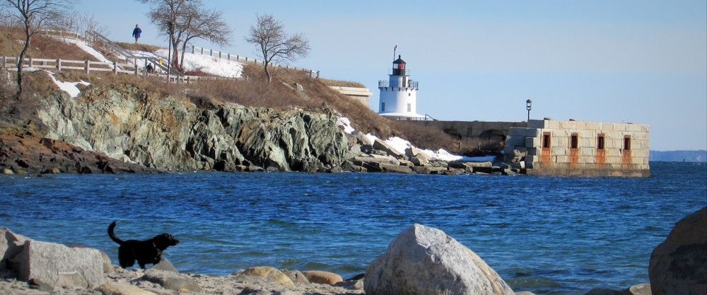 Spring Point Shoreway - Maine Trail Finder