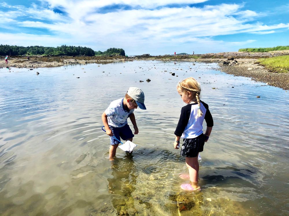 Potts Point Preserve - Maine Trail Finder