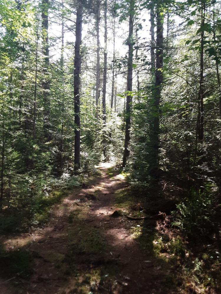 Beaver Park - Maine Trail Finder