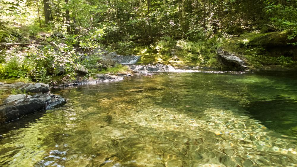 Howe Brook - Maine Trail Finder