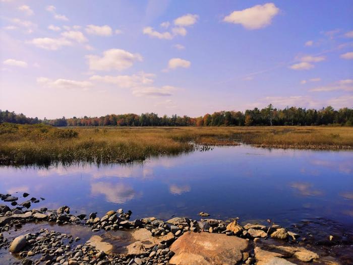 Meadow Brook - Mill Stream Conservation Area - Maine Trail Finder