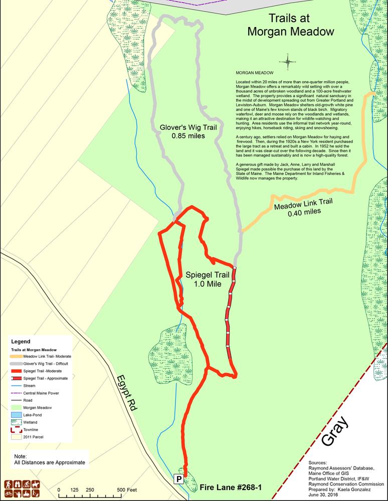 Morgan Meadows Wildlife Management Area - Maine Trail Finder