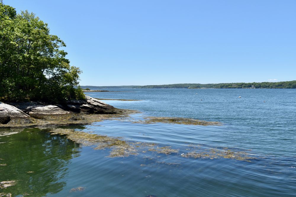 Porter Preserve - Maine Trail Finder