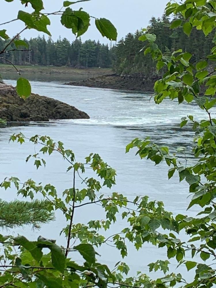 Reversing Falls - Maine Trail Finder
