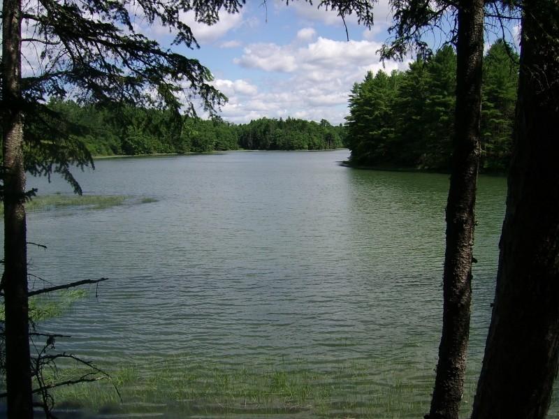Hamilton Audubon Sanctuary - Maine Trail Finder