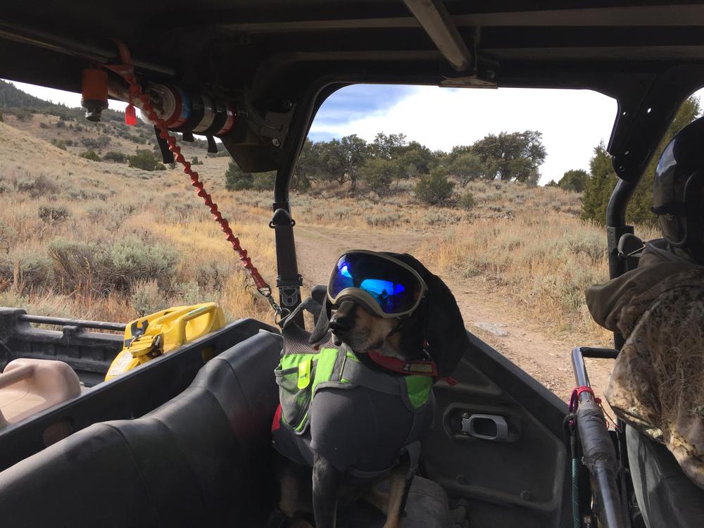 Shellback Ridge OHV Trails - Nevada Trail Finder