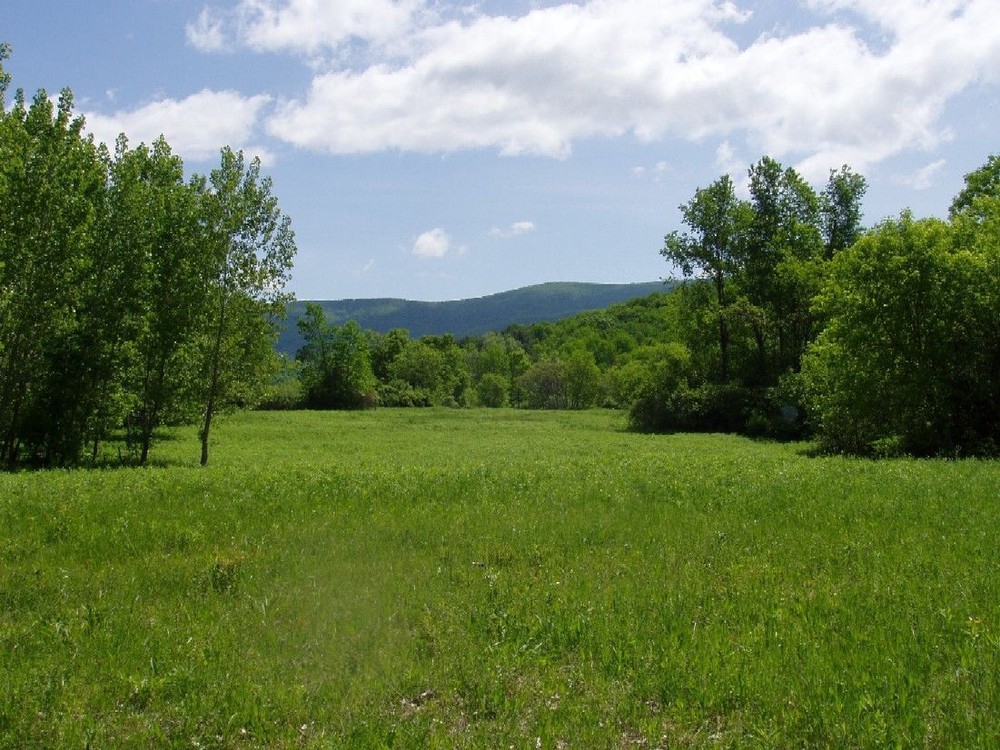 One World Conservation Center - Trail Finder