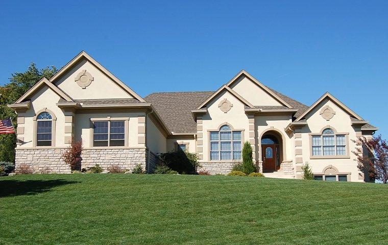 Tracy’s Complete Guide To Total Pest Prevention